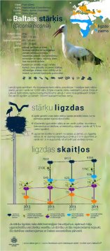 Balto stārķu ligzdas var nojaukt tikai ar Dabas aizsardzības pārvaldes ...